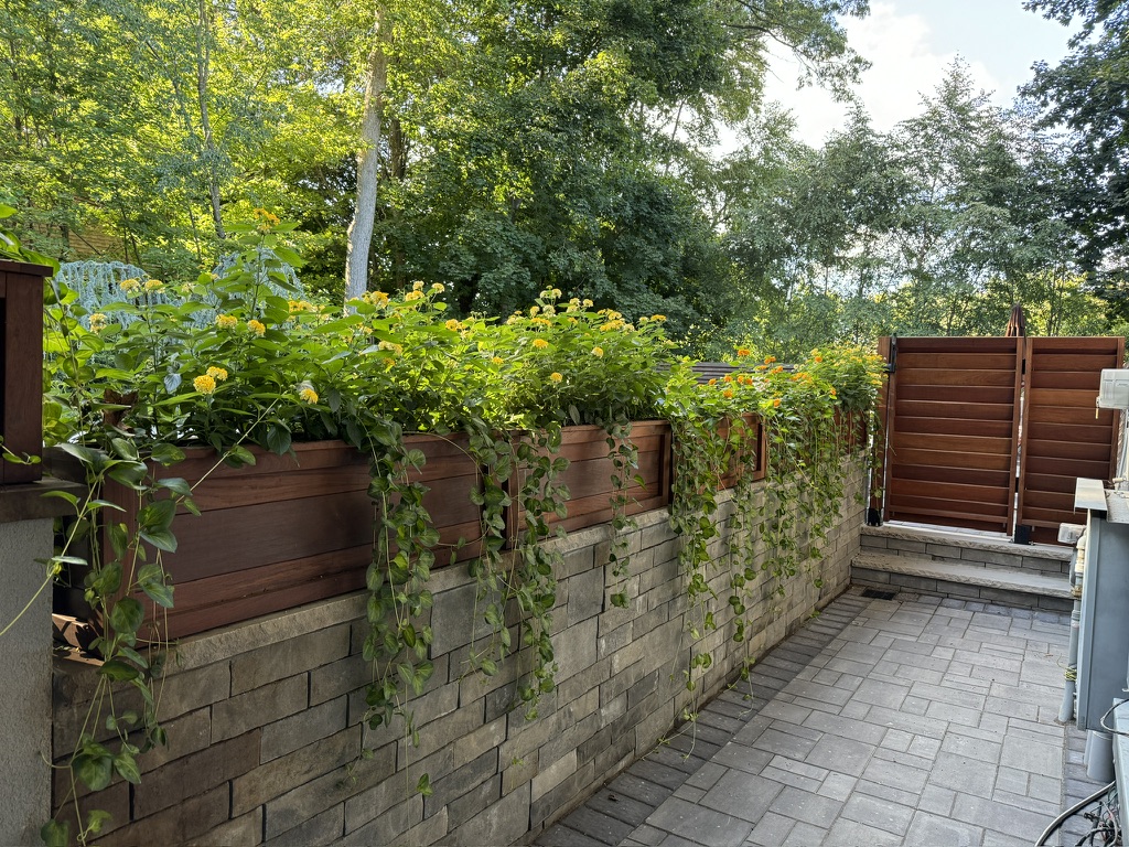 Form & Foliage | Residential Landscape Design